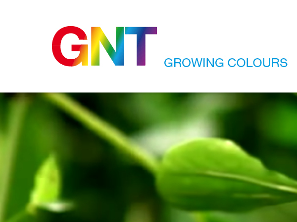 GNT Group - Harry de Graaf